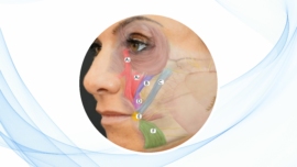 Fístula anorrectal: Diferencias entre fistulotomía y fistulectomía