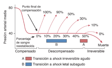 Estado de shock: Tipos de shock y fisiopatología